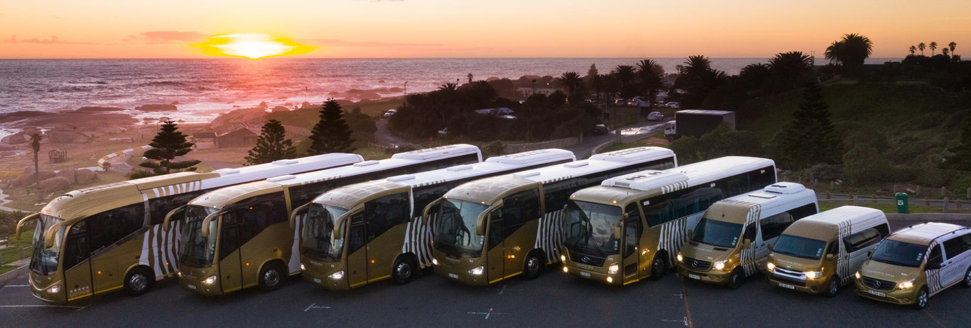 Contact Us | Springbok Atlas Luxury Charter | Coach Hire and Transport