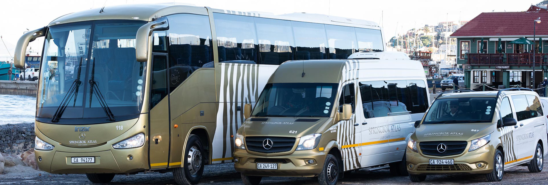 Our Fleet | Springbok Atlas Luxury Charter | Coach Hire and Transport